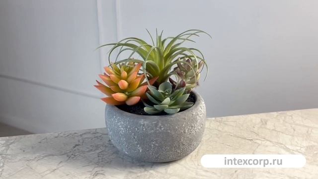 Искусственные растения в кашпо БУКЕТ СУККУЛЕНТОВ, 319000620-1,319000620-2,319000620-3