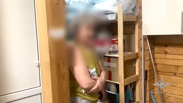 В Петербурге осудят организатора агентства, нелегально поставлявшего в Россию нянь и сиделок из Азии