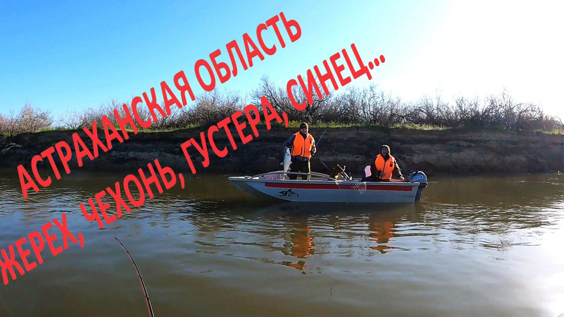 РЫБА ЕСТЬ ЕЕ НЕ МОЖЕТ НЕ БЫТЬ. Астраханская область жерех, чехонь, густера, синец…