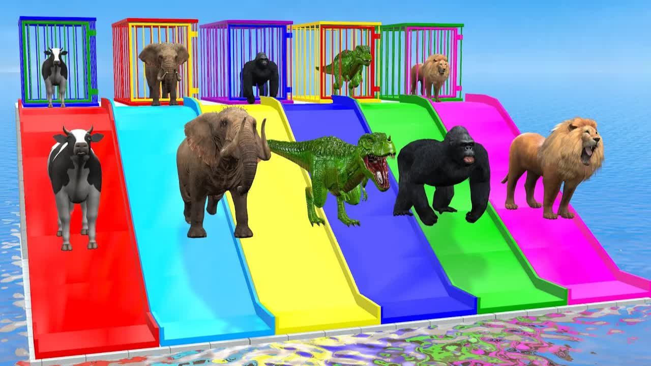 Забавная 3d анимация с животными: Слон, буйвол, Бегемот, Тигр, Лев - 3d игра "Побег из клетки"