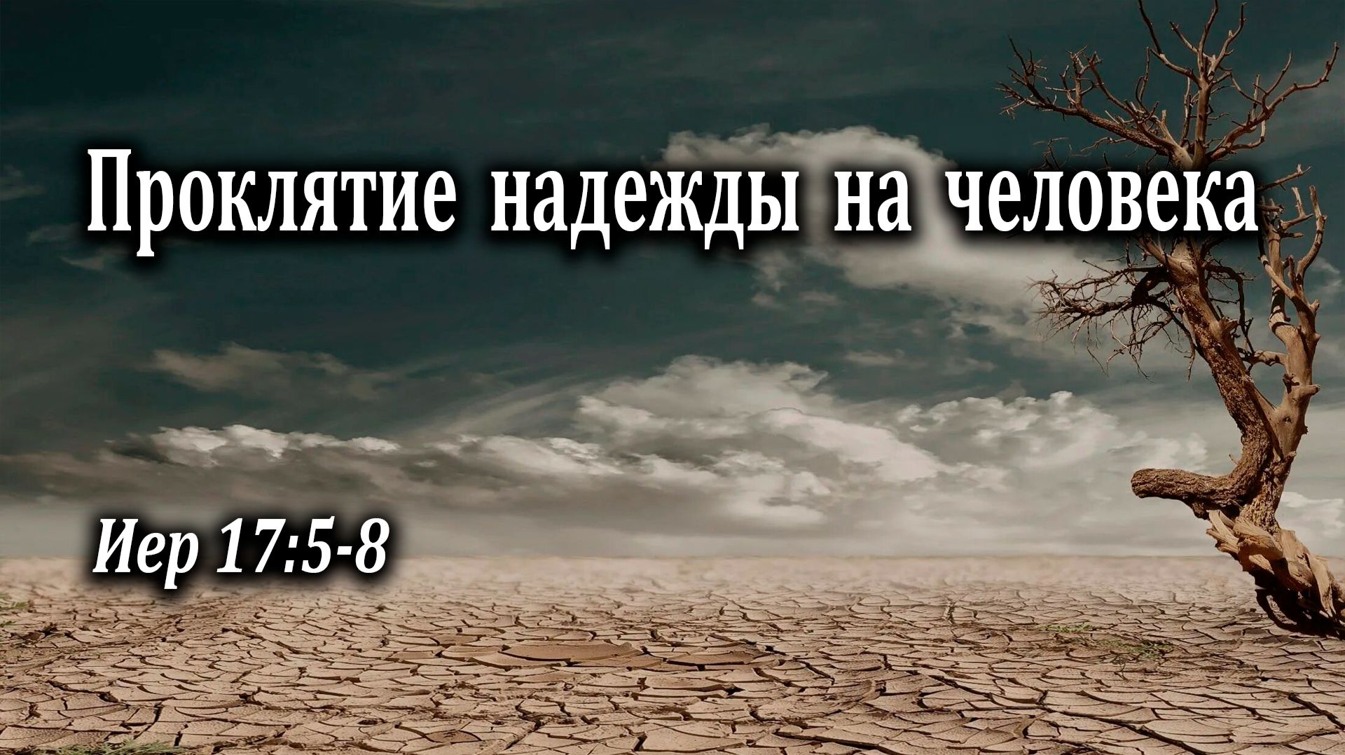 21.07.2024 "Проклятие надежды на человека" Иер 17:5-8 Инжеватов Евгений