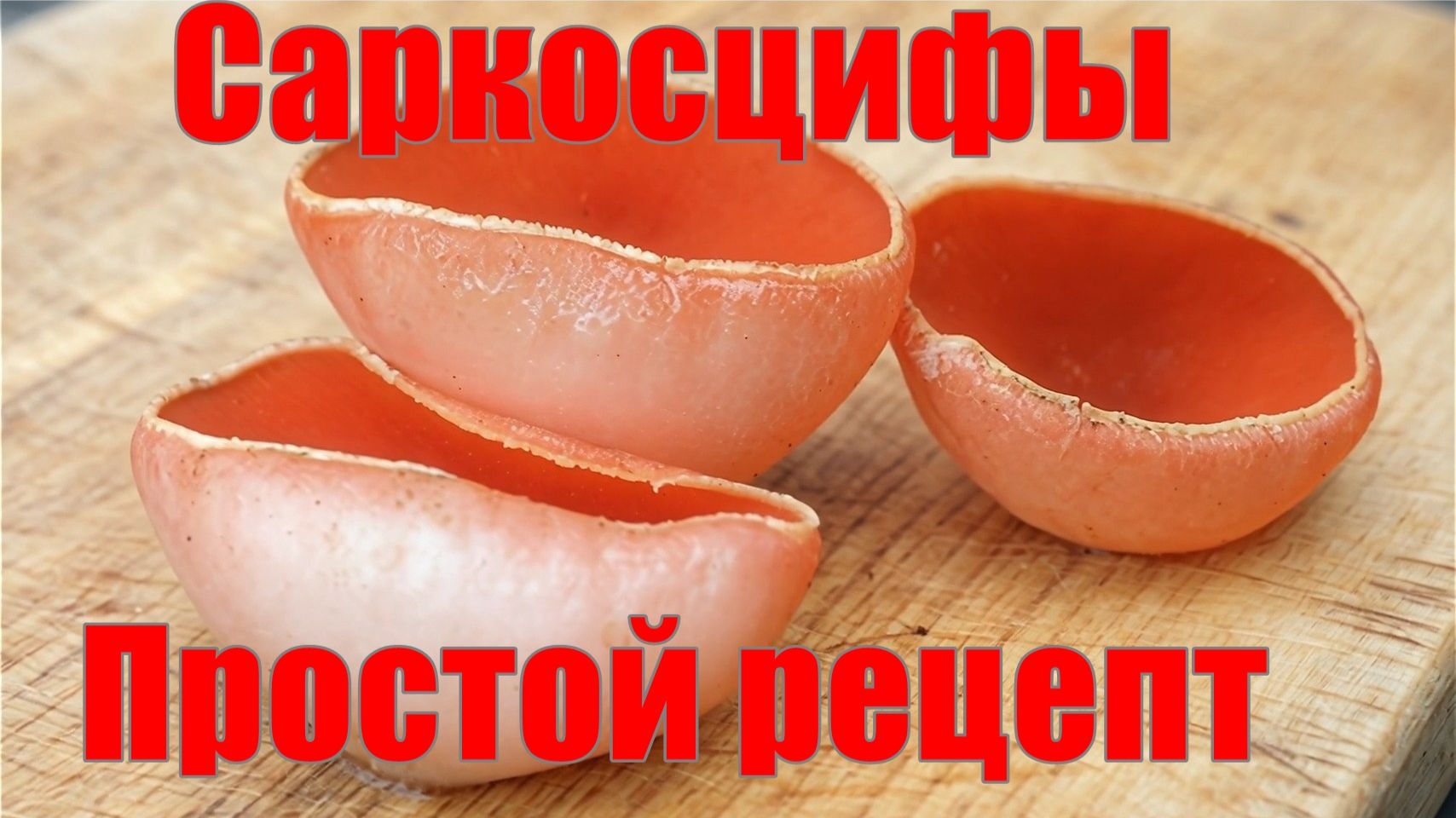 Как готовить саркосцифы. Простой рецепт салата