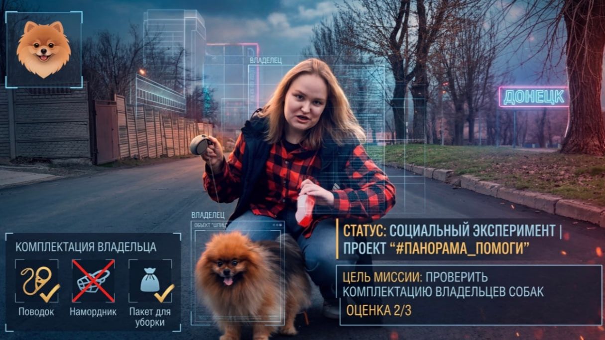⚡️ ВЫГУЛ СОБАК В ДОНЕЦКЕ: ОЖИДАНИЕ VS РЕАЛЬНОСТЬ 🛑 🐕  🦺