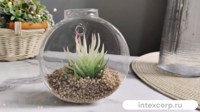 Настенный флорариум с искусственными растениями СУККУЛЕНТЫ_ ЛУНГО, 10 см  1075047-1, -2, -3