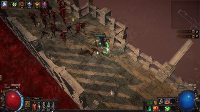 Дикая щетинистая матрона	Wild Bristle Matron	Spectre - Path of Exile