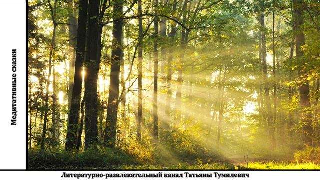 Медитация для сна с Барсиком