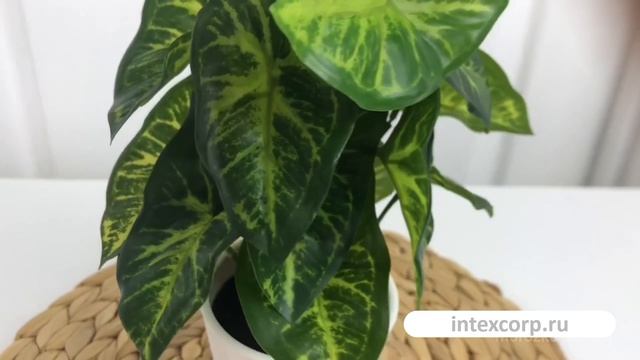 Искусственное растение ТАРО В КАШПО, 25х10 см, 318001040-3