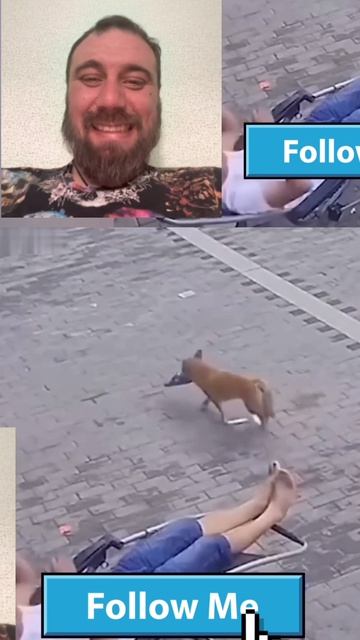 НАРЕЗКА для поднятия настроения