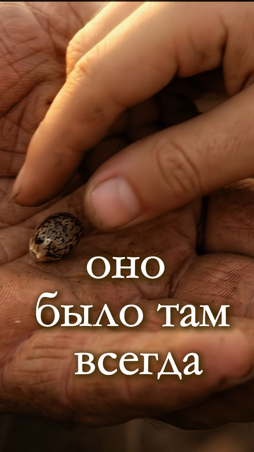 СВЯЗЬ ПОКОЛЕНИЙ 80 лет за мгновение ⏳