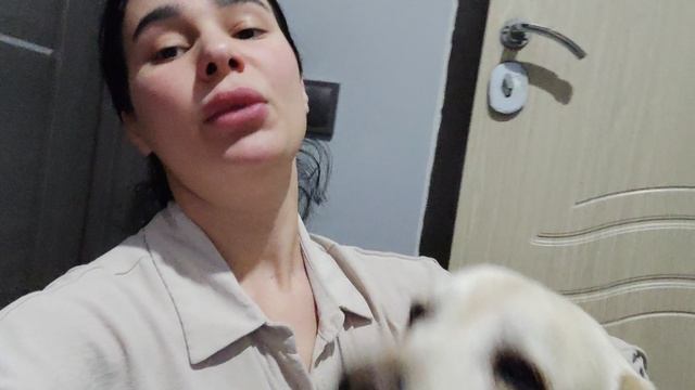 КИНОЛОГ ИГОРЬ АЛТАЙСКИЙ. ОТЗЫВ. ДРЕССИРОВКА ЛАБРАДОРА.