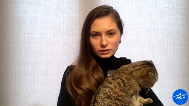 Реалити-шоу: НЛП-исследование