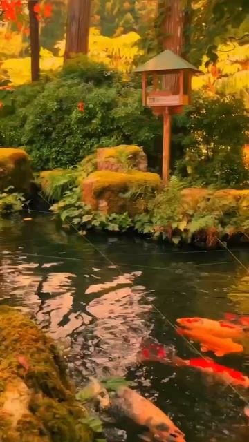 Миоцу-дзи - один из самых известных исторических храмов в Японии