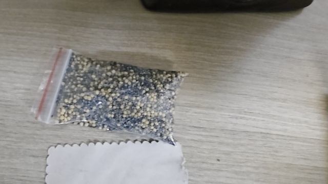 Жизнь муравьёв. 30 серия.