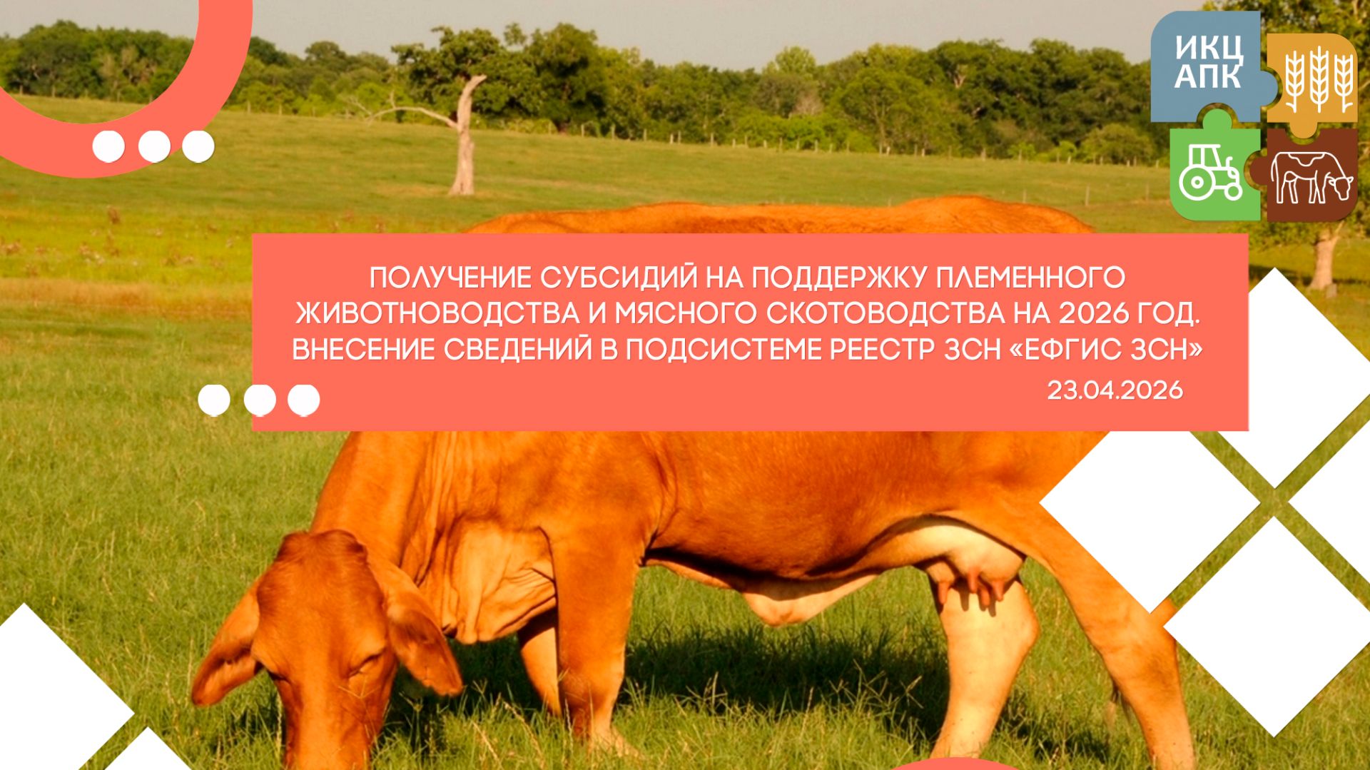 Запись семинара от 23 апреля 2026 года