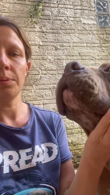 ИГОРЬ АЛТАЙСКИЙ. ОТЗЫВ. ДРЕССИРОВКА АМБУЛЛИ