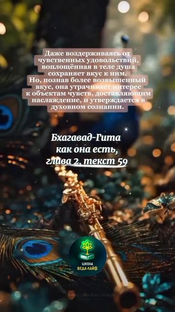 Бг