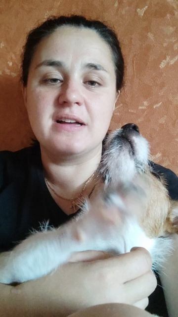 ЗООГОСТИНИЦА. ПЕРЕДЕРЖКА. ОТЗЫВ