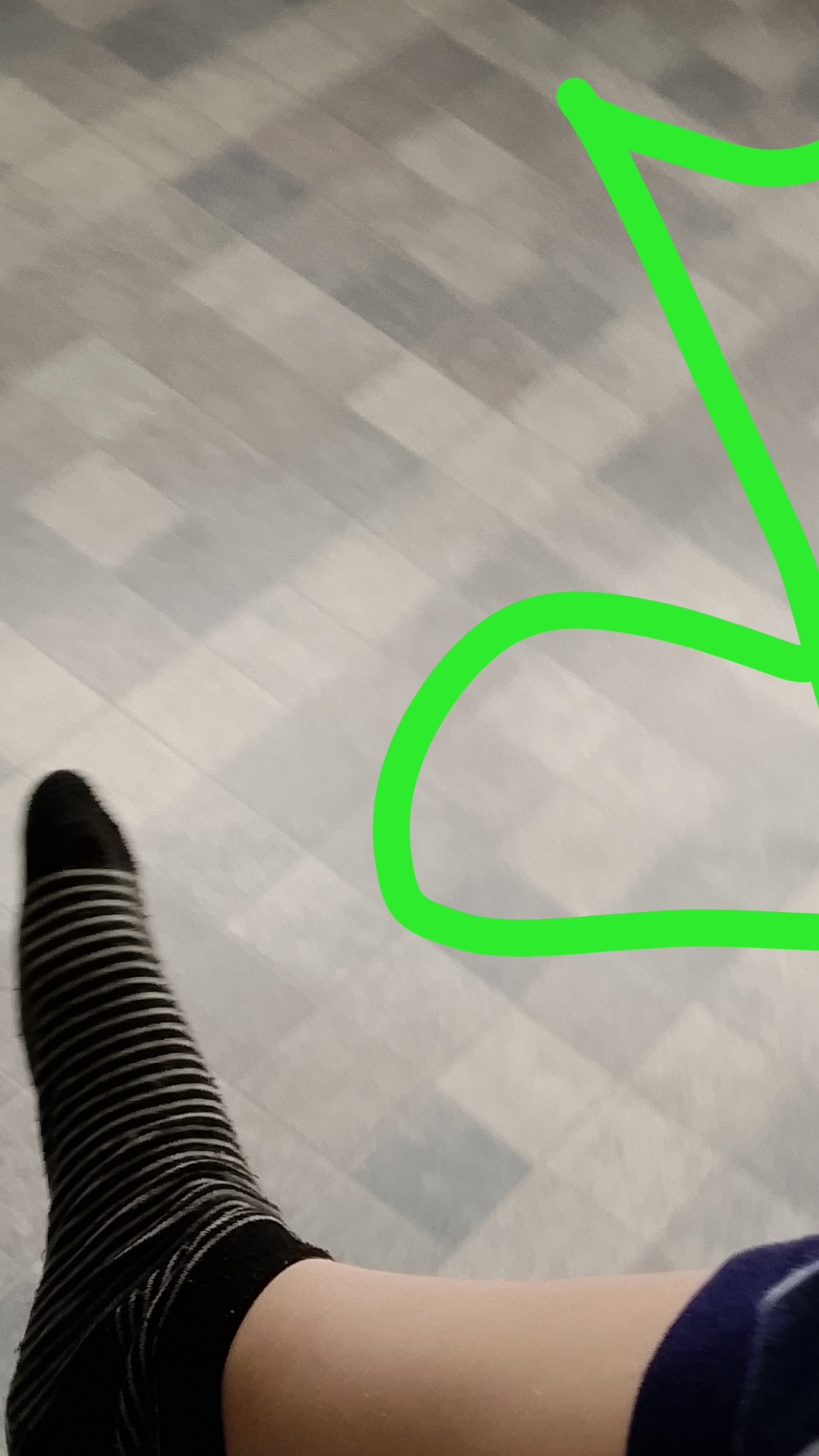 танцор серый (серый)