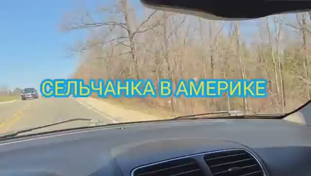 Сельчанка в Америке МАГАЗИН ALDI мои покупки