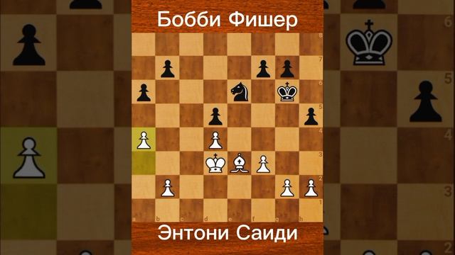 Бобби Фишер против  Энтони Саиди. Чемпионат США, Нью-Йорк, 1963.