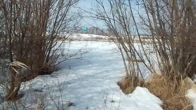Моё село