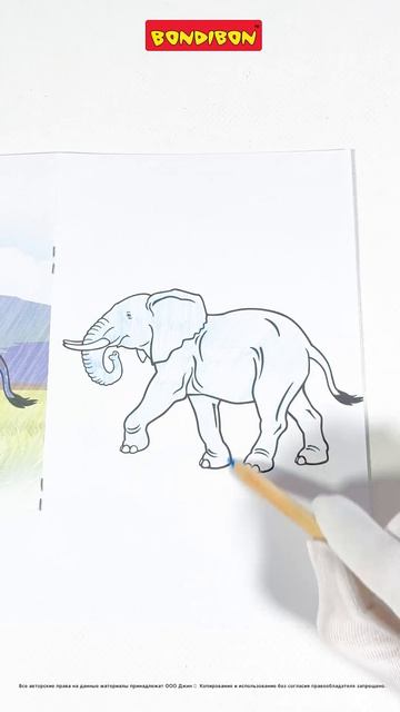 Раскопки для детей Животный мир с раскраской #развивающийнабор#археология#развитиедетей#юныйученый