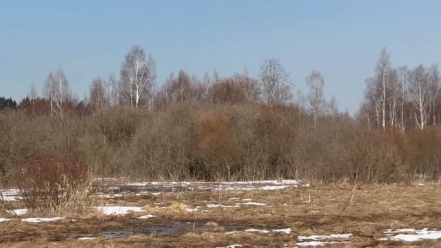 д. Моденово 50:18:0080421:1424