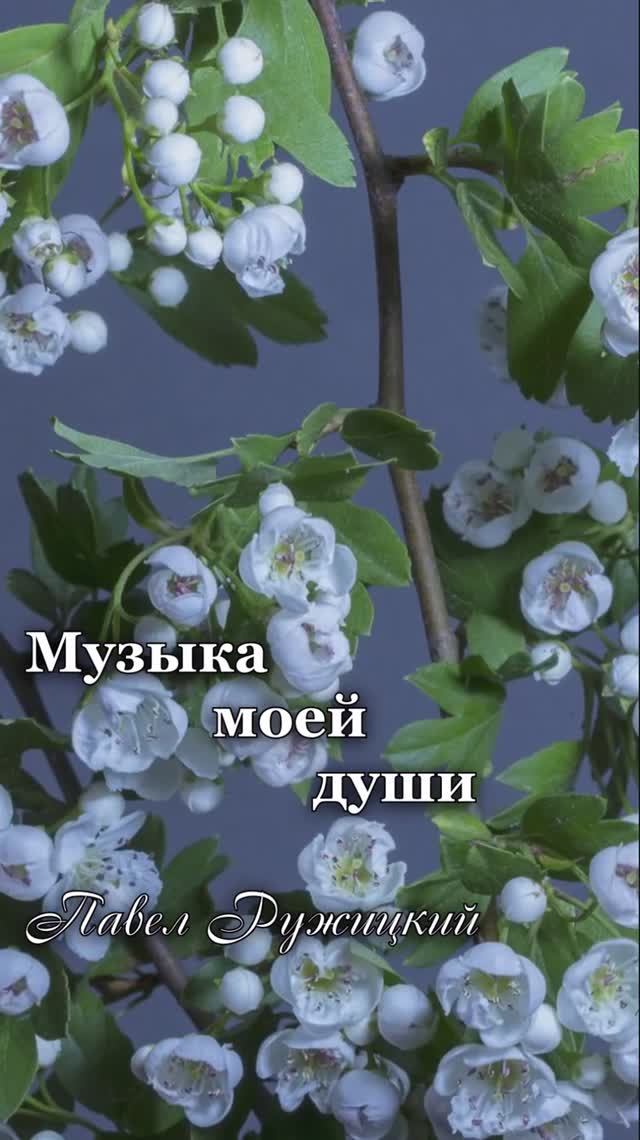 "Зеркало души"  - ep. 1, #ПавелРужицкий