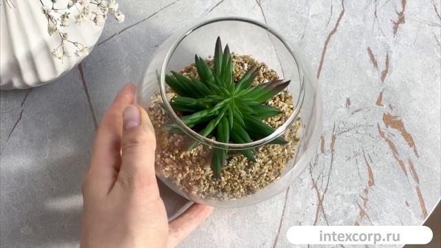 Искусственное растение СУККУЛЕНТ В ВАЗОЧКЕ, 10х12 см, 1047778-1