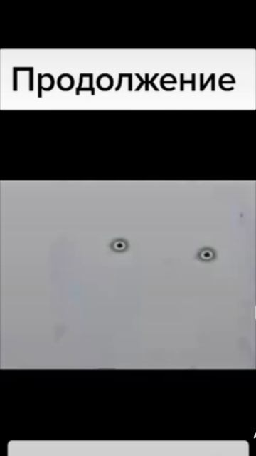 рай для ушей