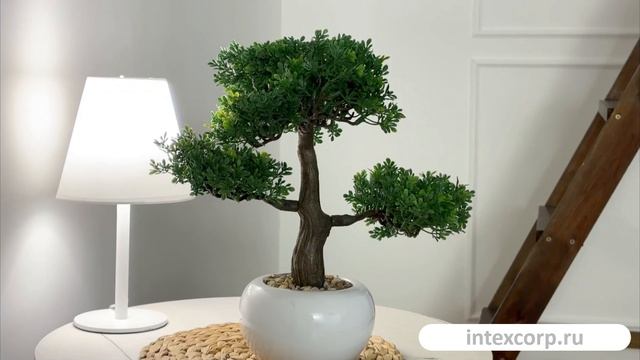 Элитное искусственное растение БОНСАЙ (лиственный) в белом кашпо, пластик, керамика, 1001571-2