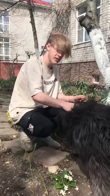 ЗООГОСТИНИЦА. ПЕРЕДЕРЖКА СОБАК. ОТЗЫВ.