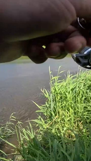 щука на джиг с берега