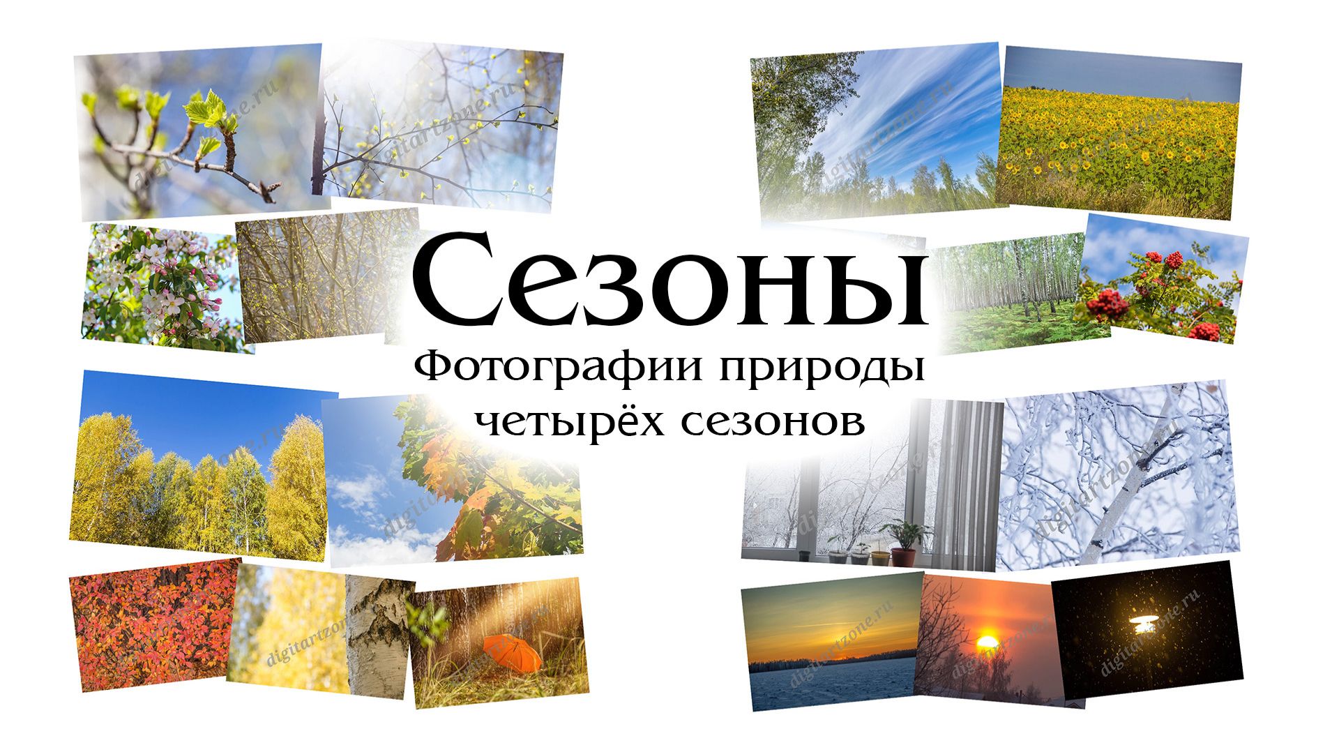 Фотографий природы четырёх сезонов (купить)