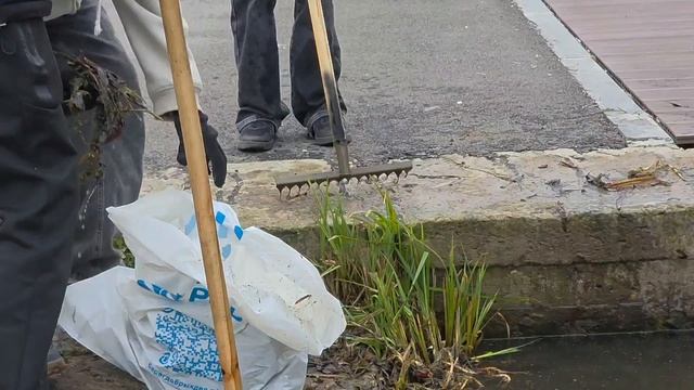 Активисты очистили берег светловского пруда в рамках акции «Вода России»