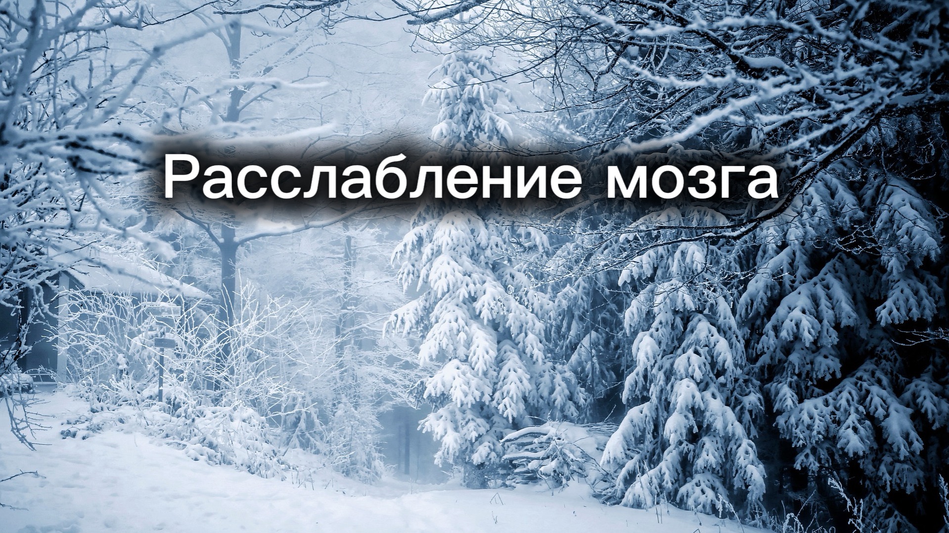 РАССЛАБЛЕНИЕ МОЗГА | Снег