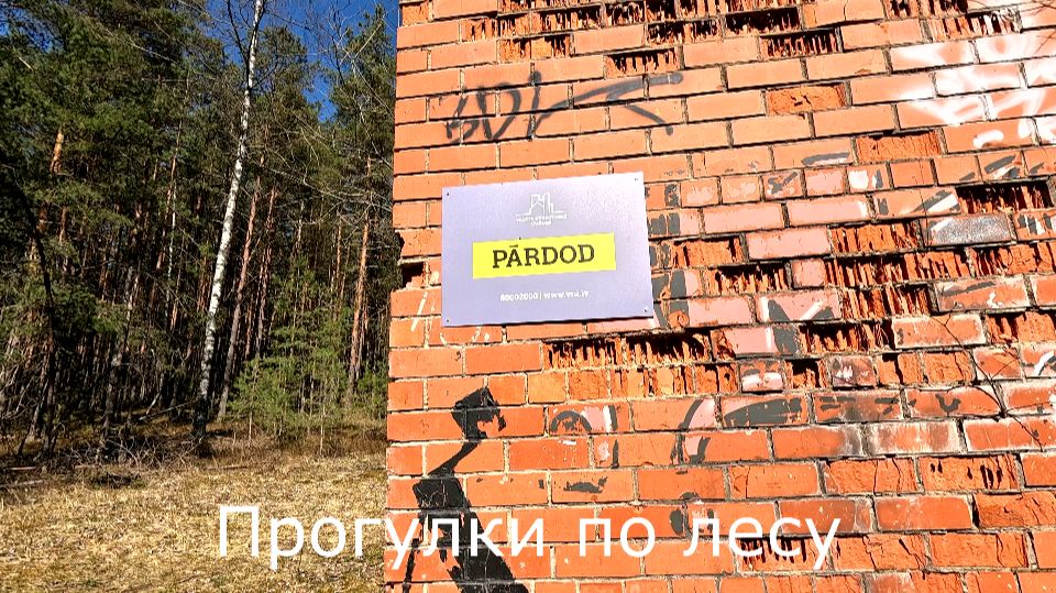 Прогулки по лесу. Если захочется, то в лесу можно прикупить недвижимости.