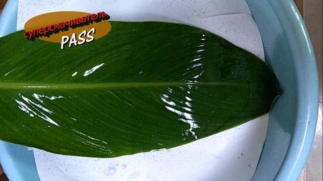 Тест АДЬЮВАНТЫ PASS, органосиликоновый ПАВ, суперсмачиватель для повышения эффективности СЗР