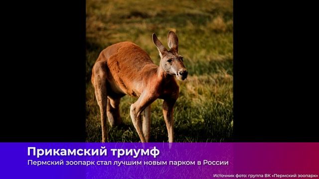 Коротко о главном_24.04.2026_СольТВ