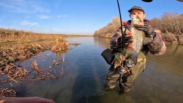 Это рыбалка мечты! Судаки монстры в ручье. Как ловить среди коряг?