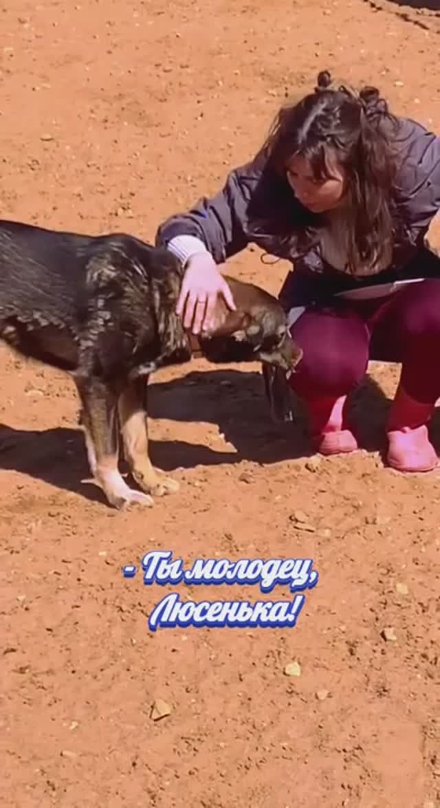 "Спрячу – похвалишь???" ❥ Приют в Малинках #приютдляживотных