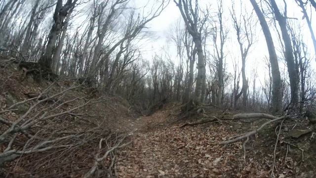 Бештау фото