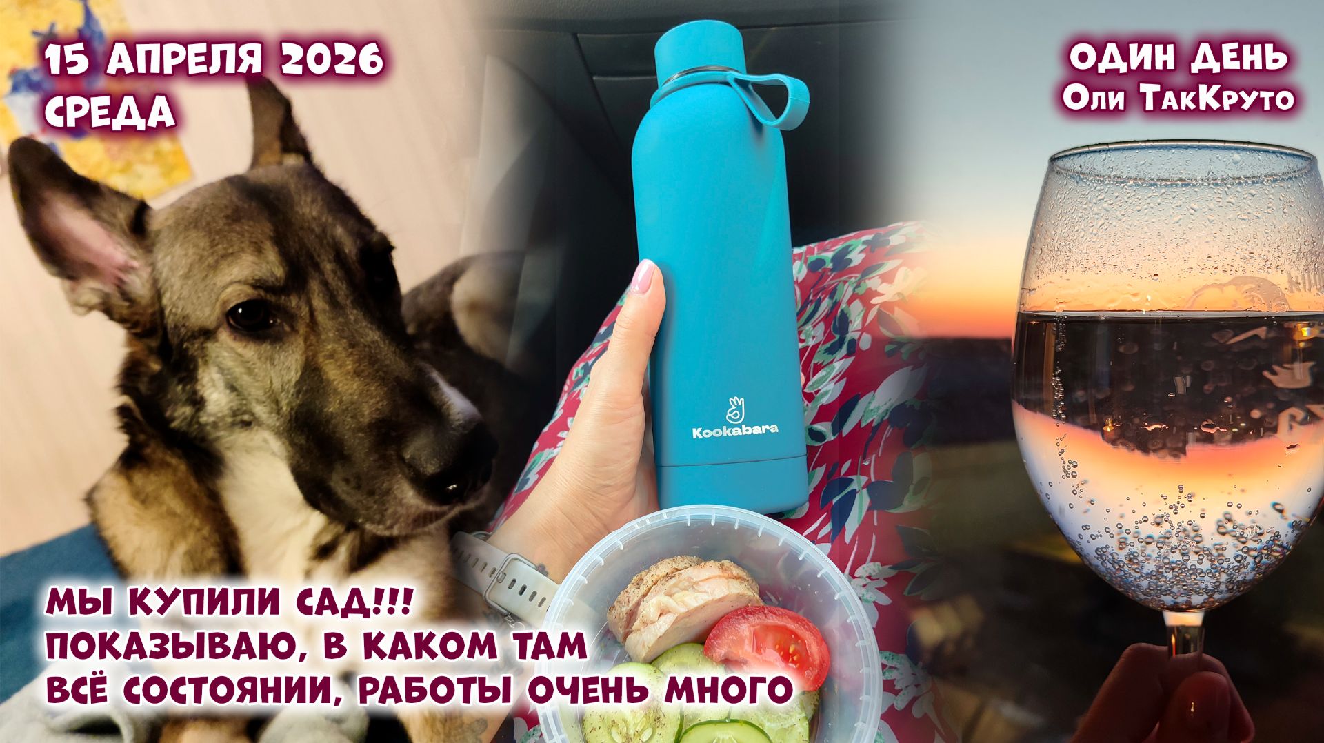 МЫ КУПИЛИ САД!!! Показываю, как там всё выглядит, много работы. 15 апреля 2026. Дни с Олей ТакКруто