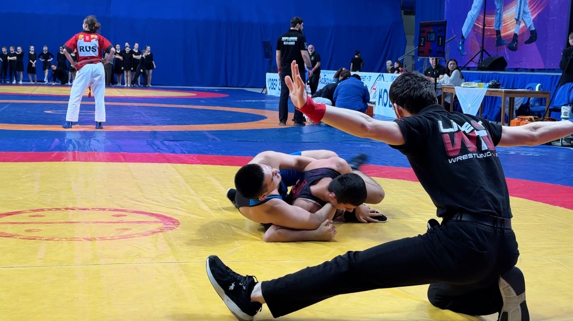 Фестиваль борьбы памяти Владимира Жириновского