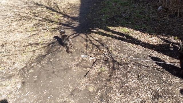 На прогулке вдвоем.