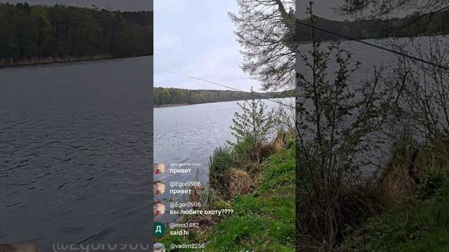 рыбалка утром первый судачек 24-04-2026