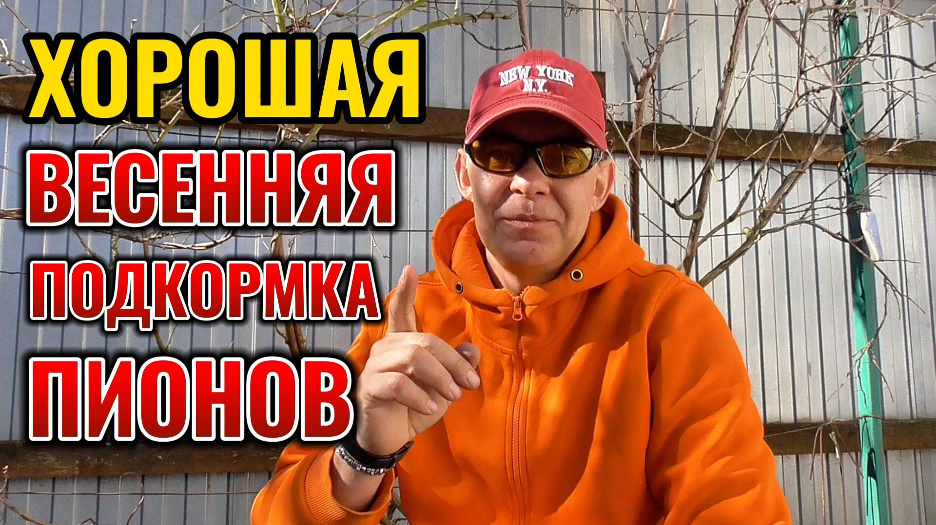 Многие не знают как правильно ПОДКОРМИТЬ ПИОНЫ ВЕСНОЙ: показываю весеннюю подкормку