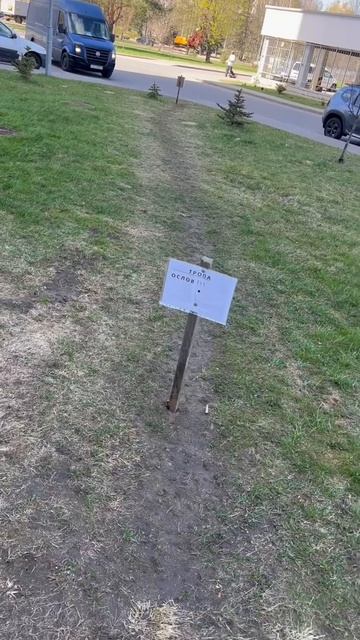 Тест на осла.