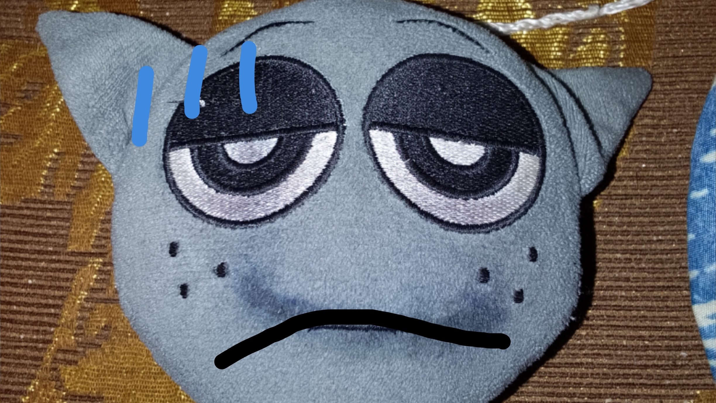 зачем котик пошёл в лес?