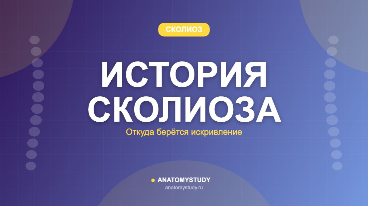 История сколиоза: откуда берётся искривление и почему это важно знать тренеру